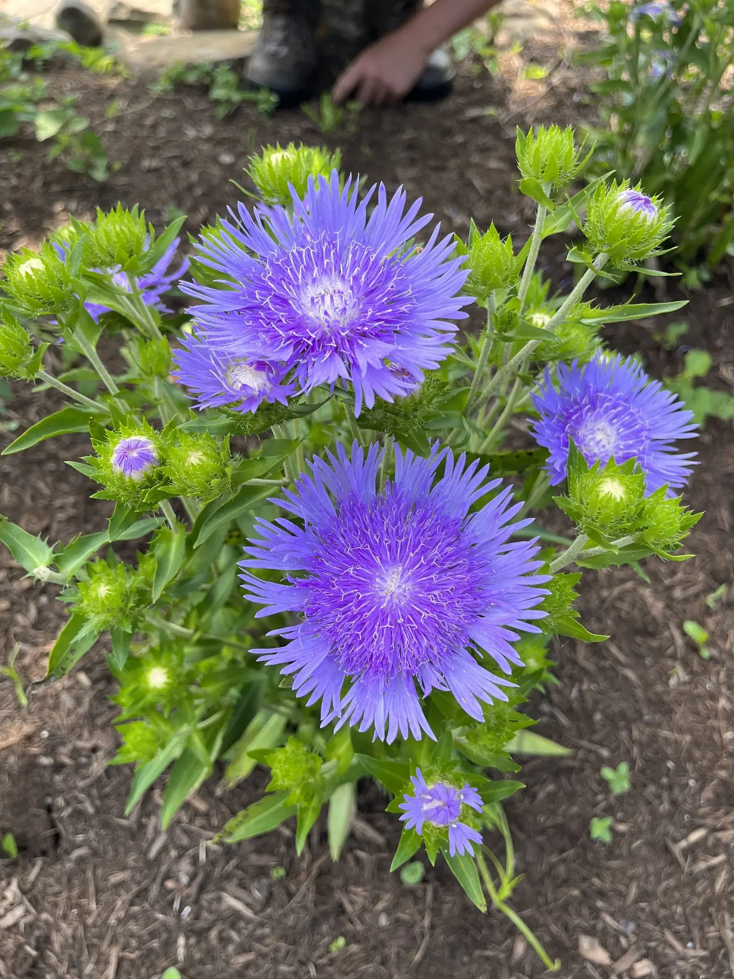 Contact Us | Arrowwood Landscaping